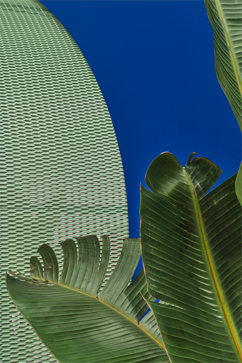 REGI Laboratories - Sara Ricciardi Studio